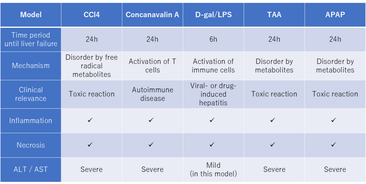 APAP-induced acute liver failure model | SMC Laboratories Inc.