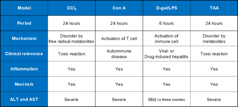 TAA-induced acute liver failure model | SMCラボラトリーズ株式会社